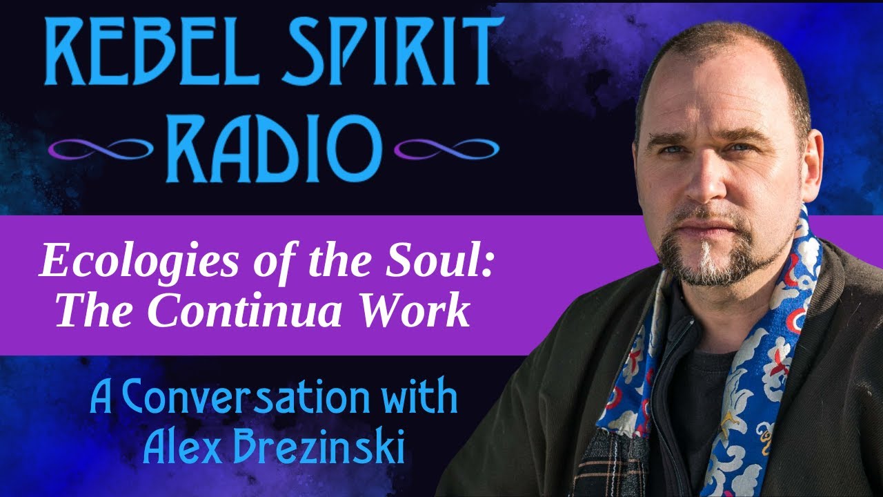 Ecologies of Soul, engaging with non-physical entities, and The ...