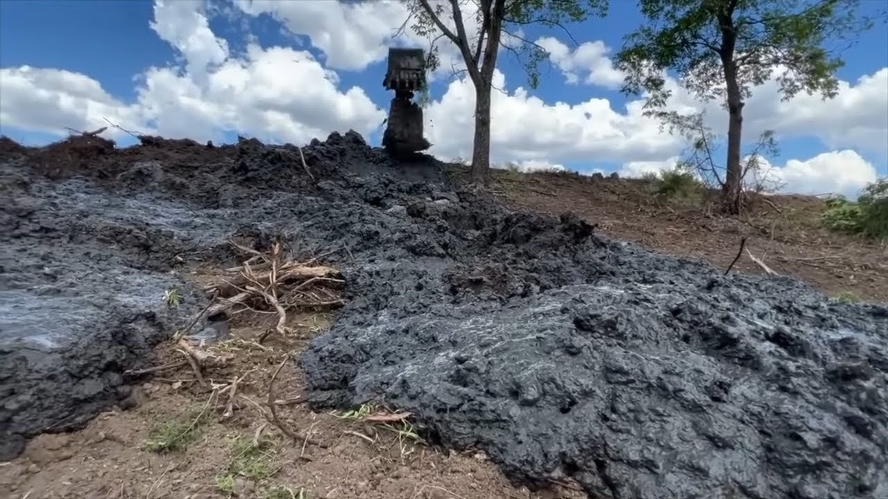 Satisfying Pond Sludge Removal - YouTube