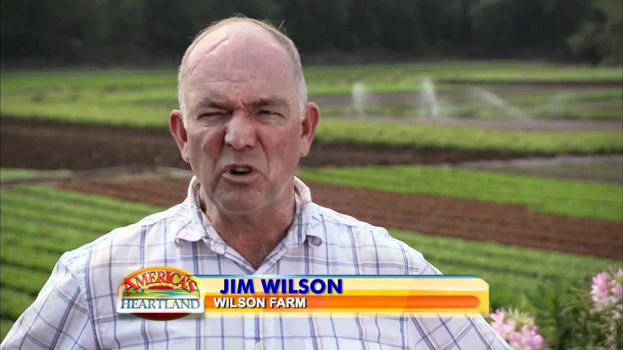 Wilson Family Farm - America's Heartland - YouTube