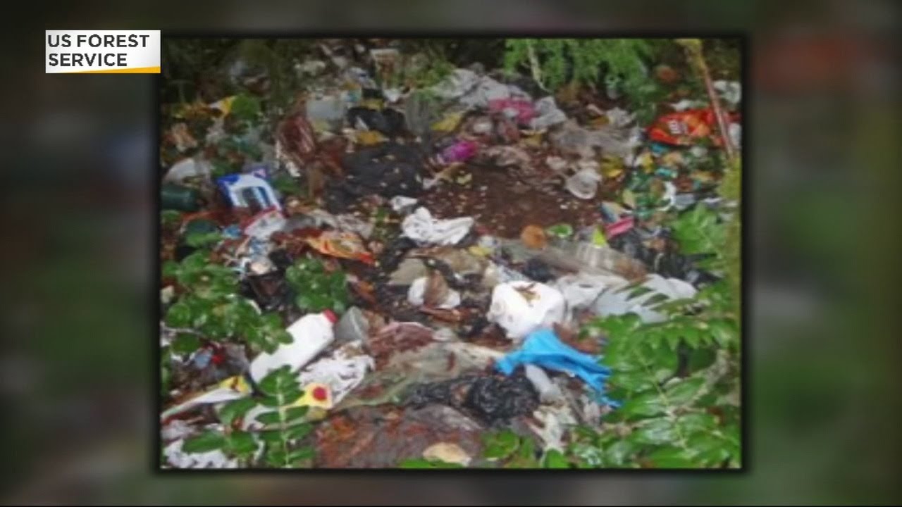 Pack it in and pack it out: U.S. Forest service asks people to take ...
