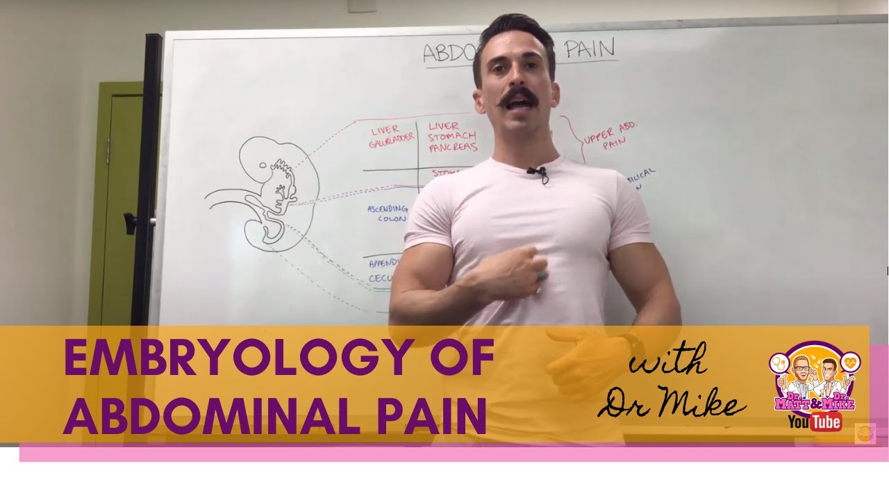 Abdominal Pain | Embryology - YouTube