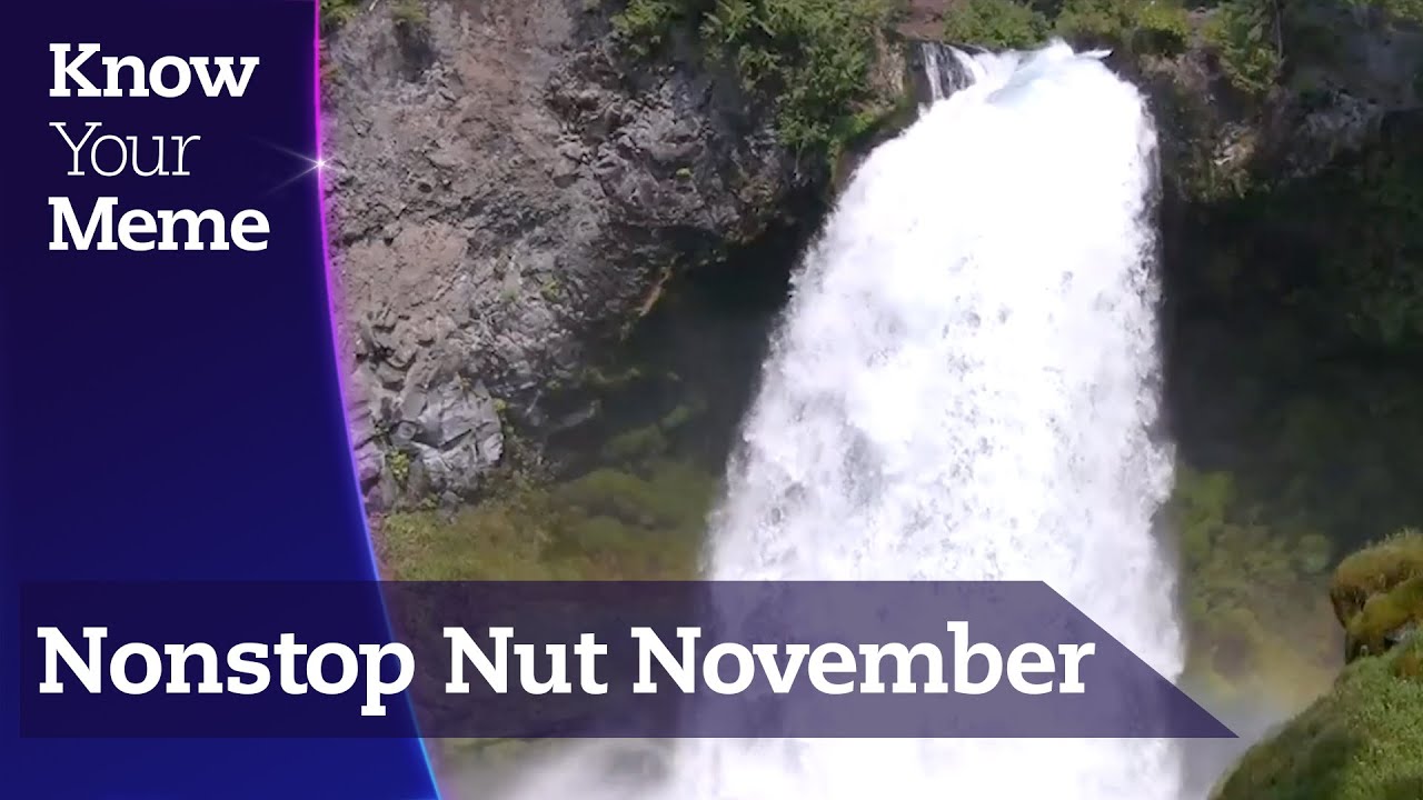 What Is Nonstop Nut November? | Know Your Meme - YouTube