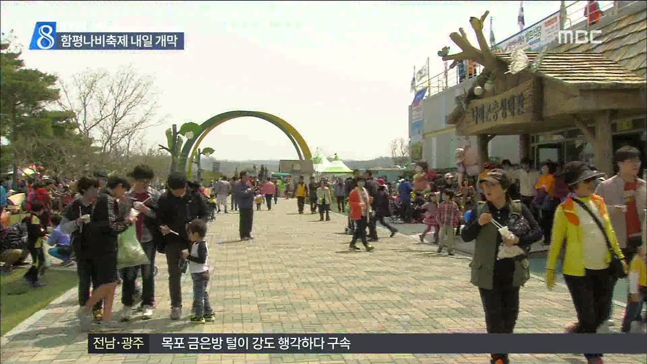 [목포MBC]15만 마리의 나비 향연 (R) - YouTube