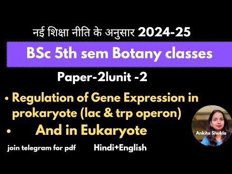 BSc 5th sem zoology classes|unit-2|P2|Regulation of Gene Expression in prokaryote & eukaryote ...