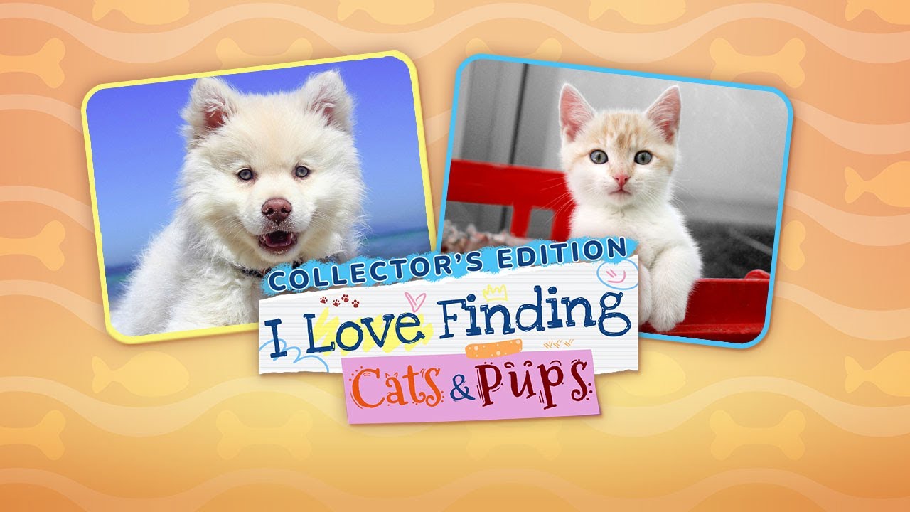 I Love Finding Cats & Pups! Collector’s Edition | Puzzle Games | IPlay ...