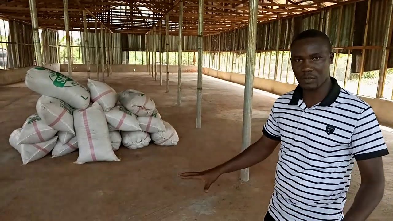 How to Build a Typical Poultry House In Nigeria - YouTube