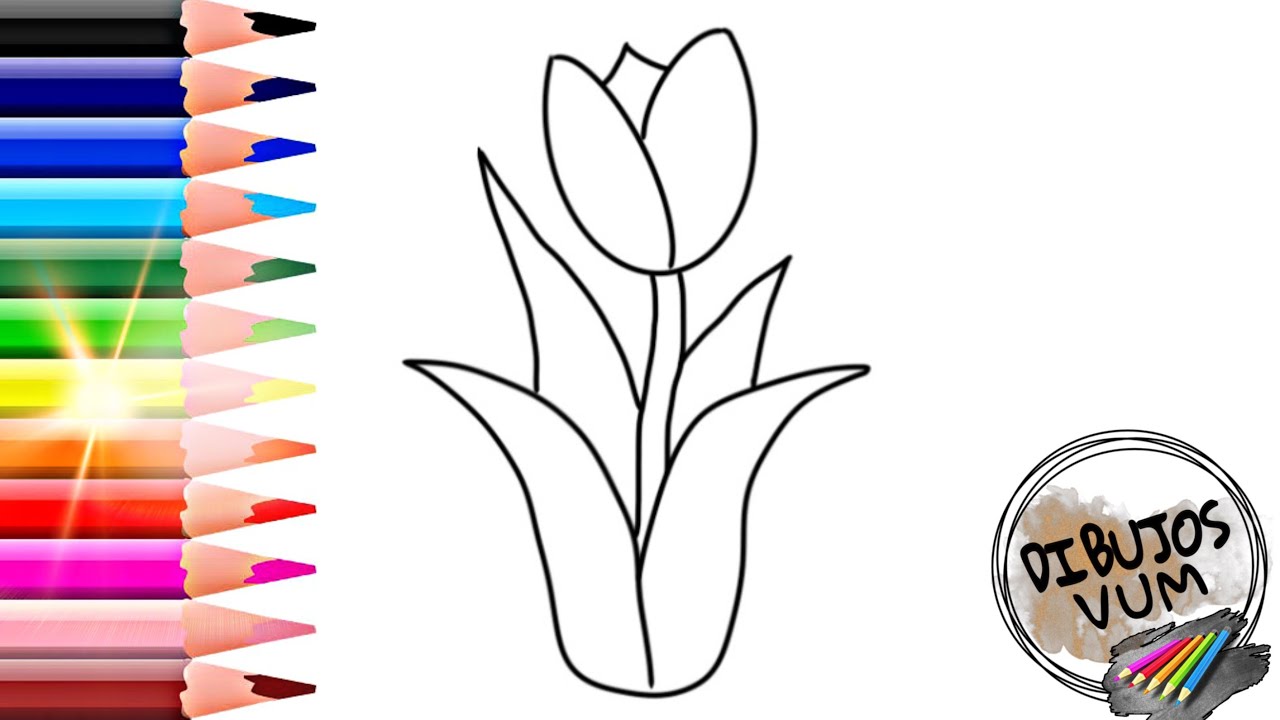 Como Diujar Un Tulipan, paso a paso 🌷 - YouTube