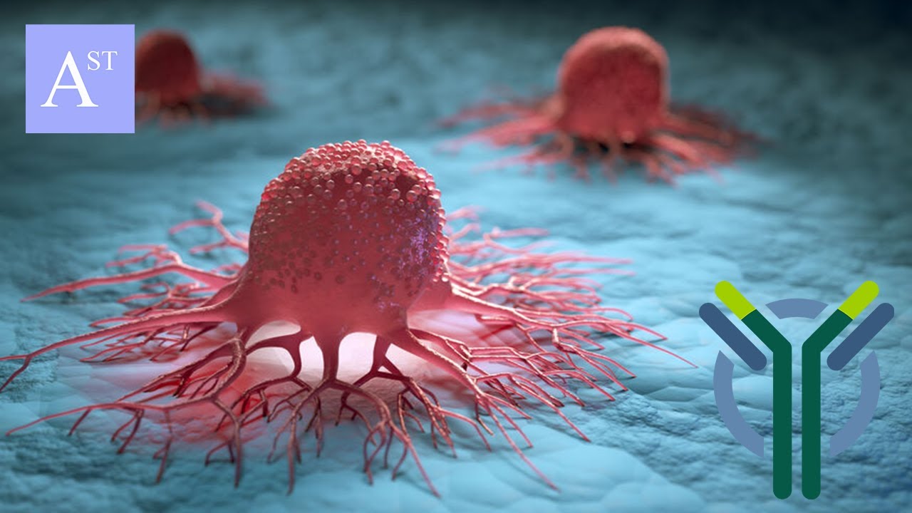 Y-mAbs Therapeutics steigt rasant! - YouTube