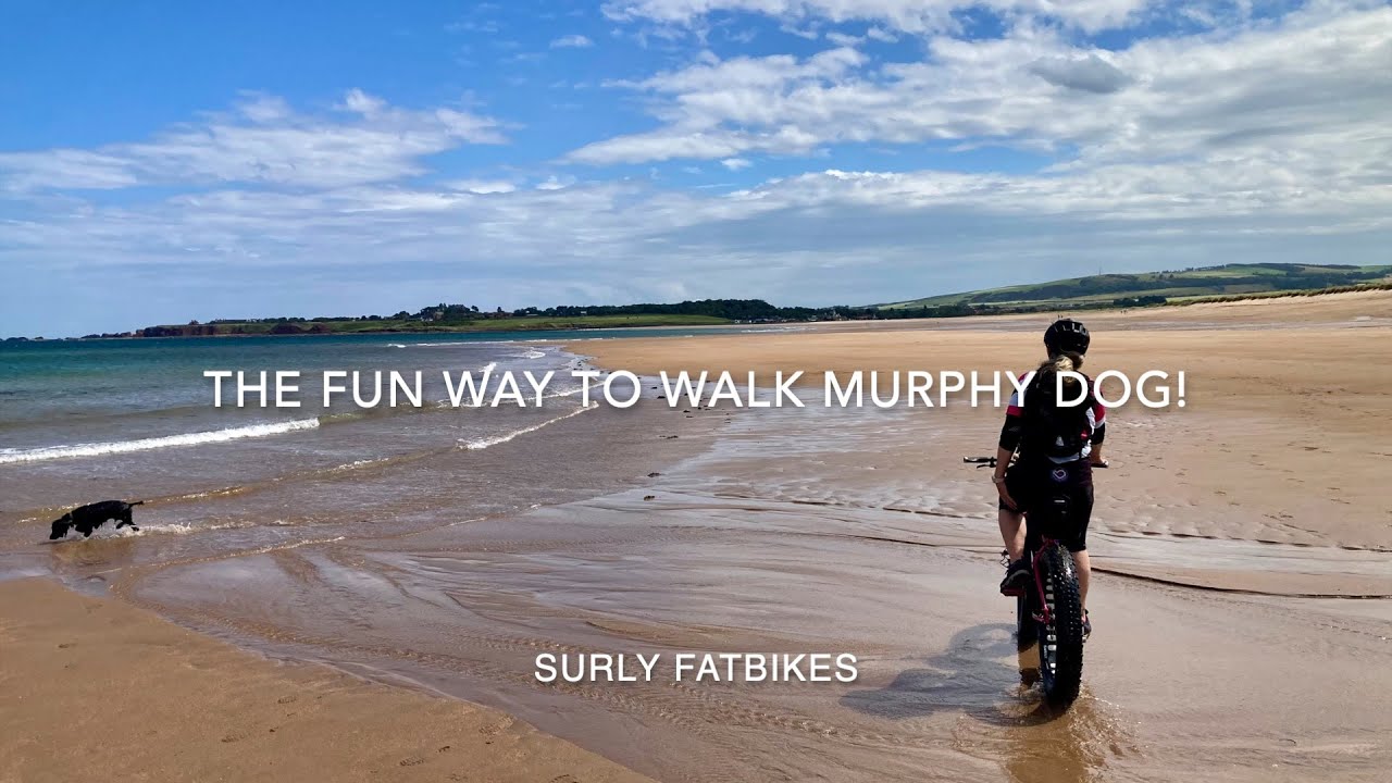 Beach ride with Murphy dog! - YouTube