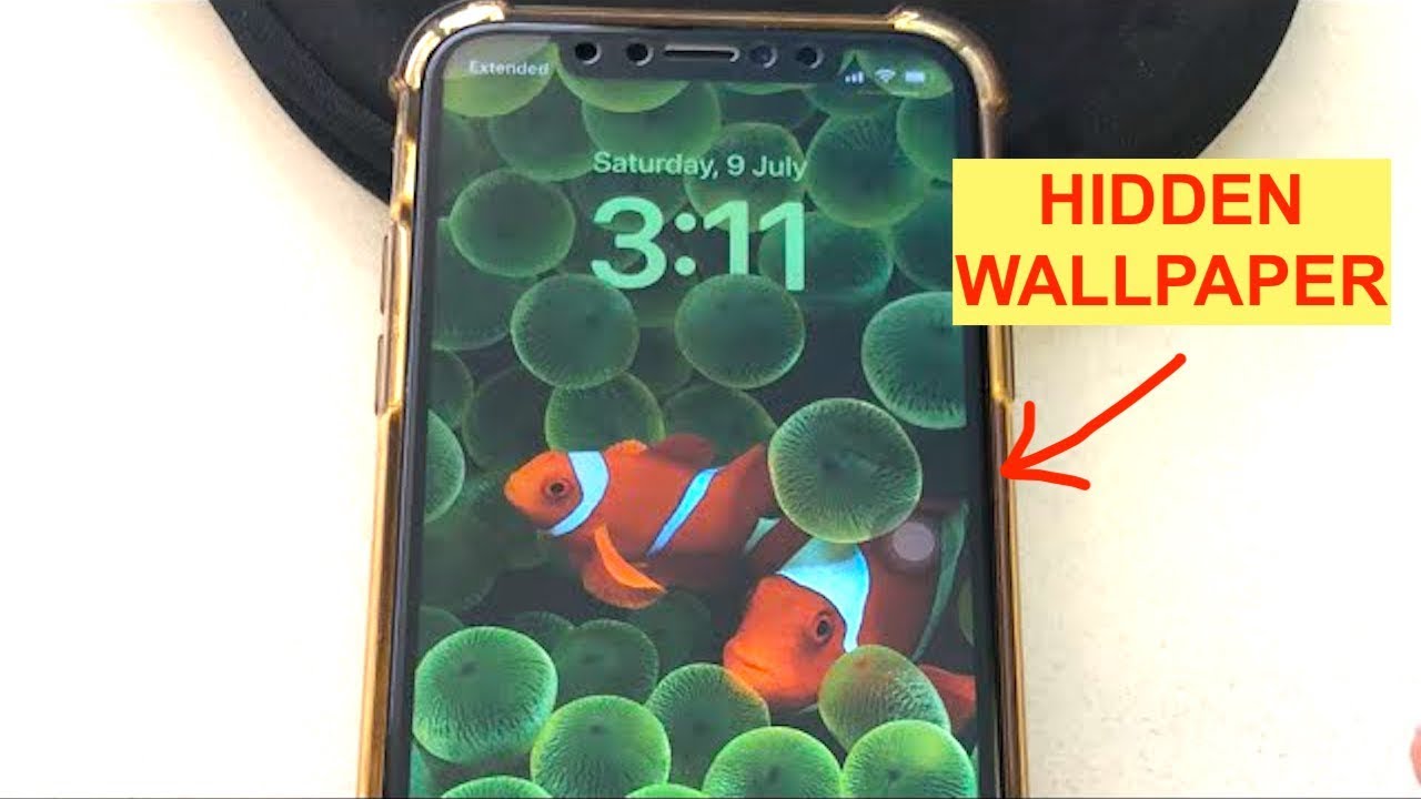 How to get Clownfish Wallpaper on iPhone (iOS 16 Beta 3) - YouTube