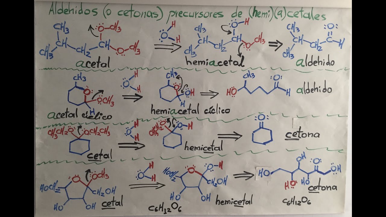 Hemiacetales y acetales: fundamento para entender la química de los ...