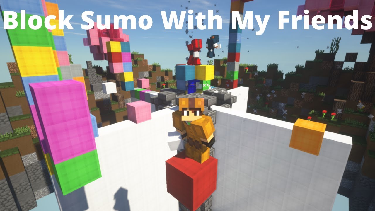 Block Sumo w/Discosheep - YouTube