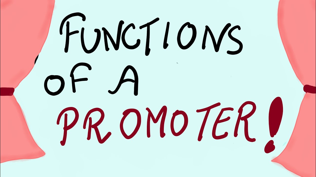 Functions Of A promoter | Business Studies | - YouTube