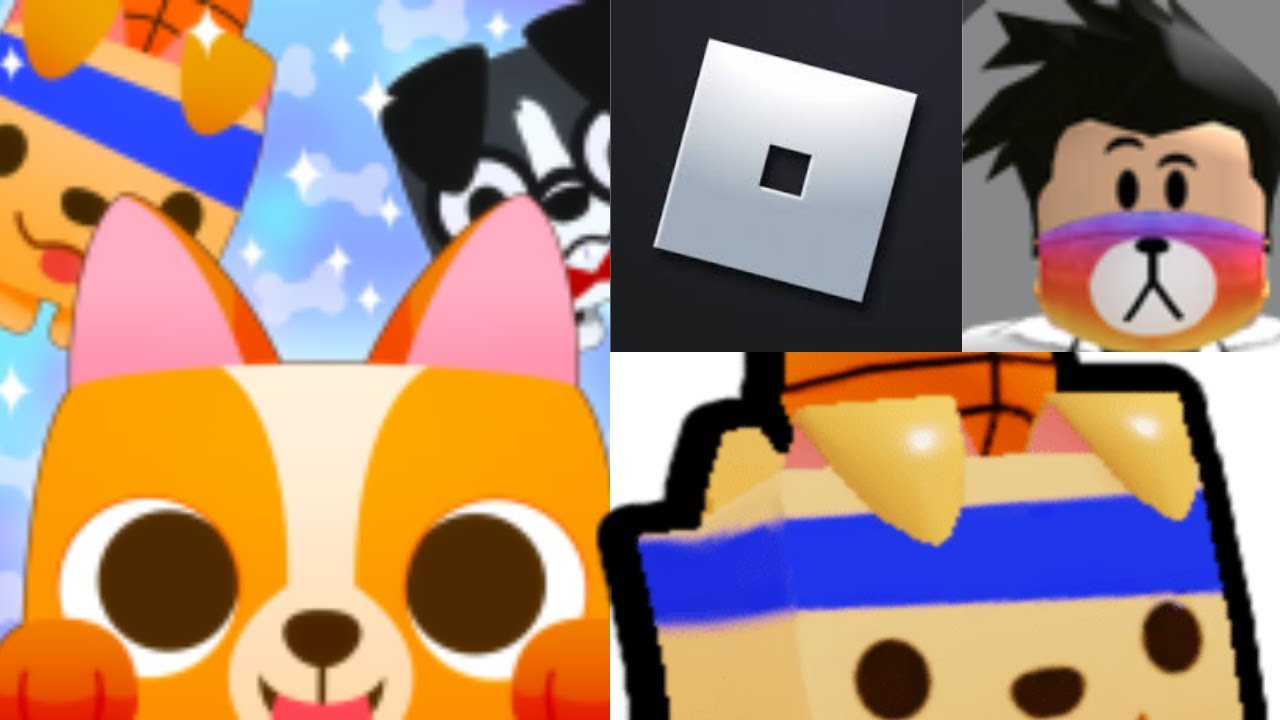 NOWE DOG PETY (Pet Simulator X !) - YouTube