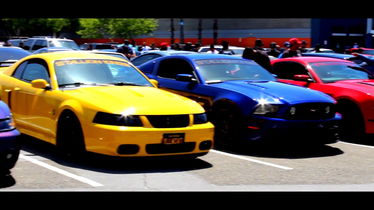Stang Up The Bay 2017- Bay area Mustang meet-ford mustang car show meet ...