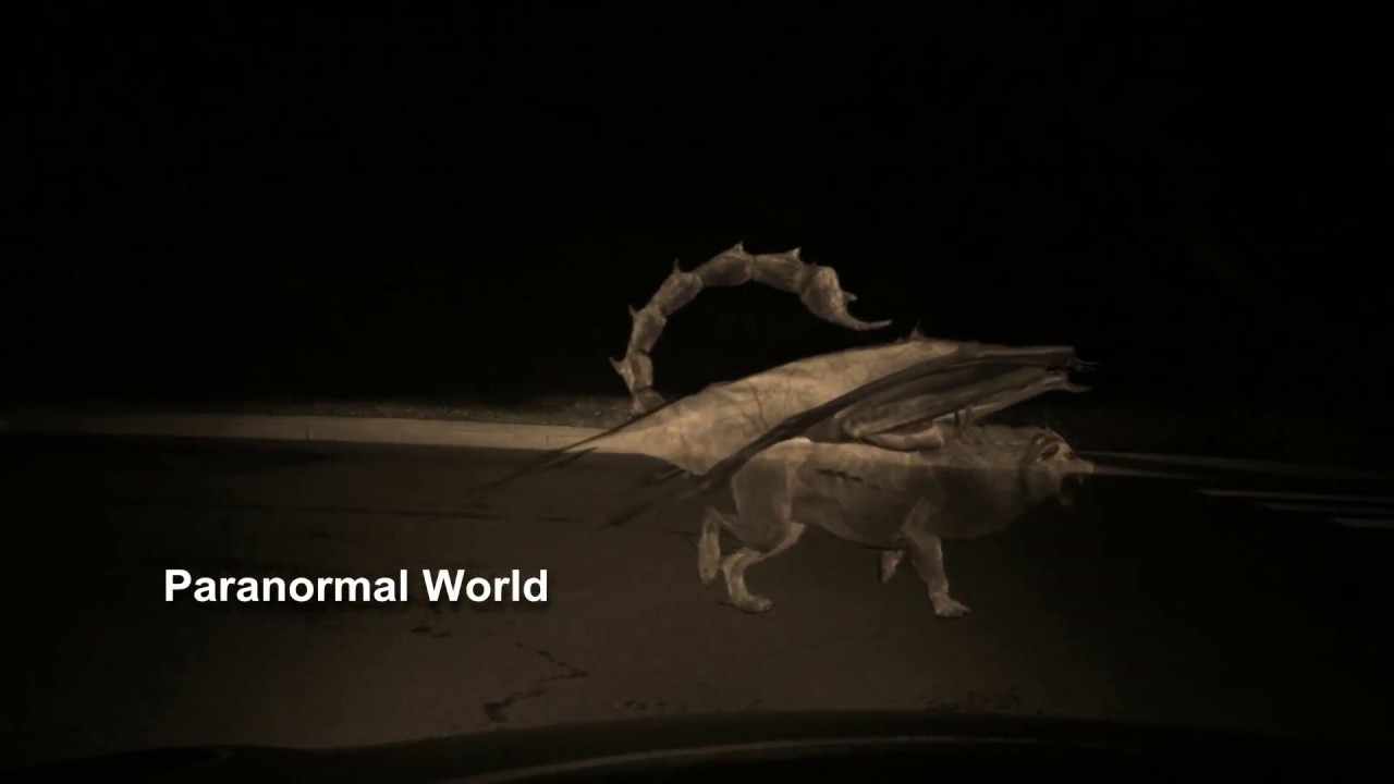Real Manticore Creature Sighting Caught on Camera - YouTube