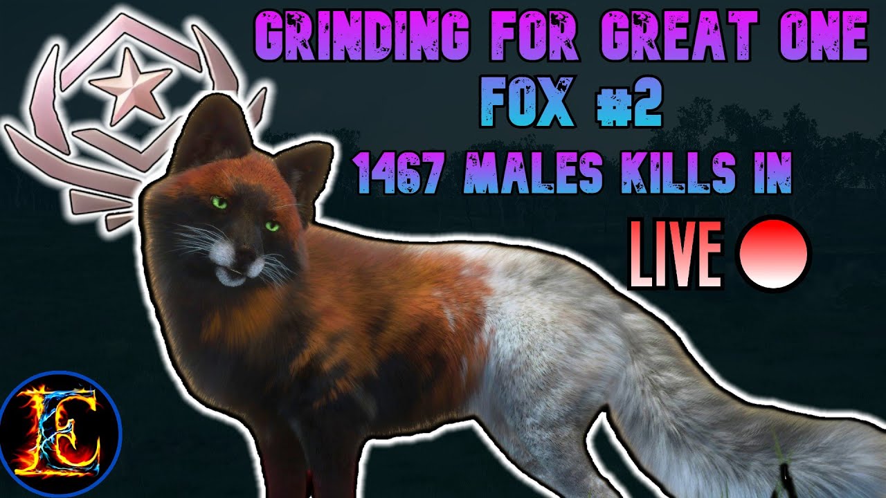 1467 Male Harvests Into Great One Fox Grind #2... Is Today The Day ...