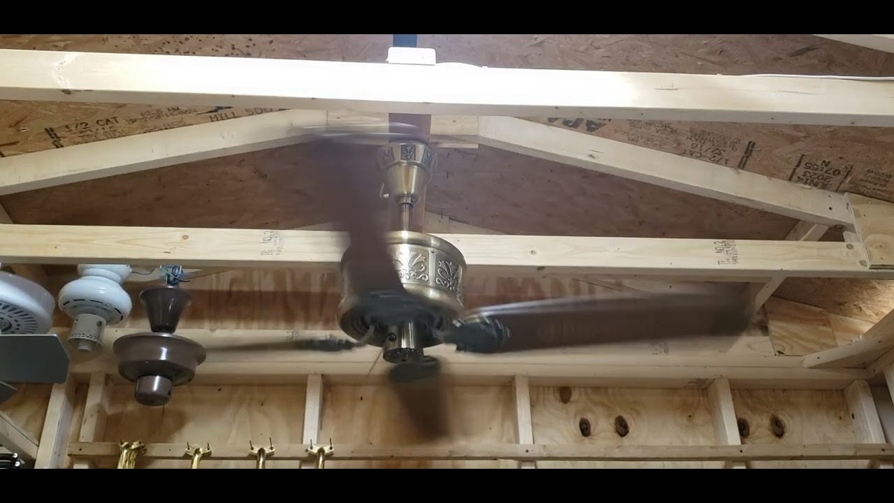 Evergo Roma Ceiling Fan - YouTube