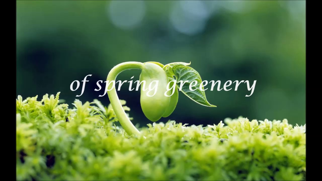 Spring Haiku - YouTube