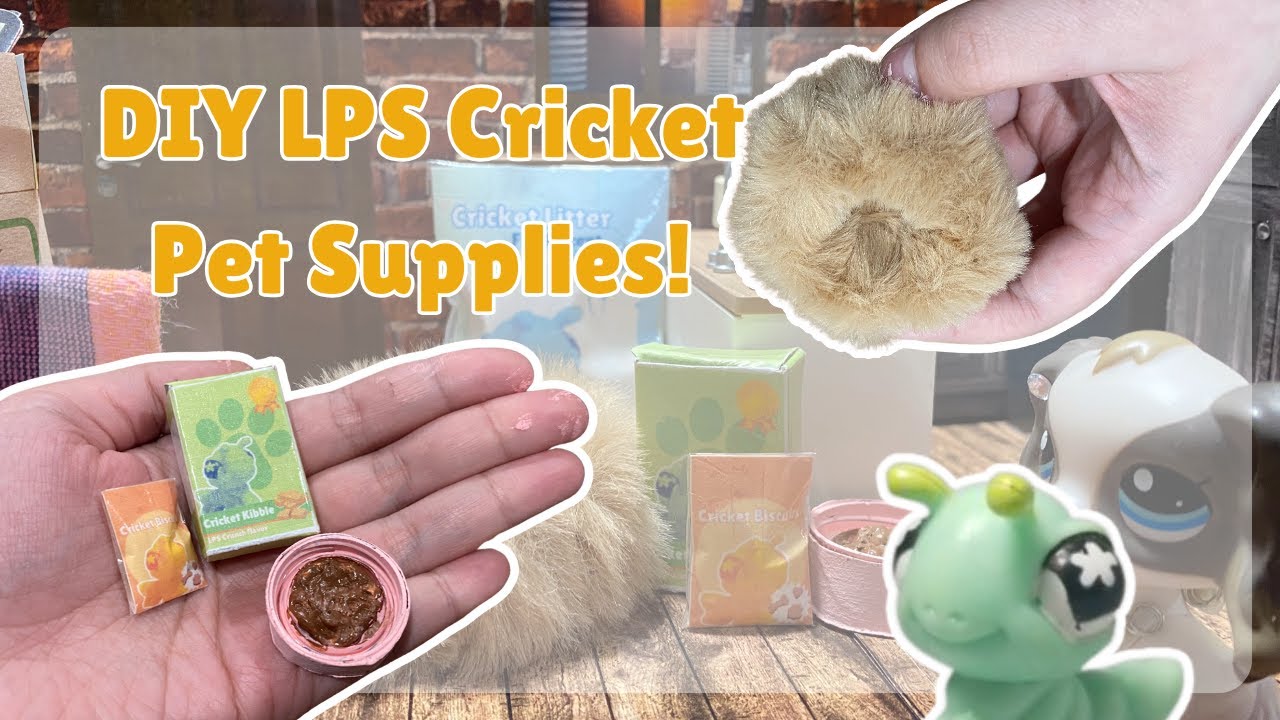 LPS Craft DIY |6 Cricket Crafts From Household Items! - YouTube