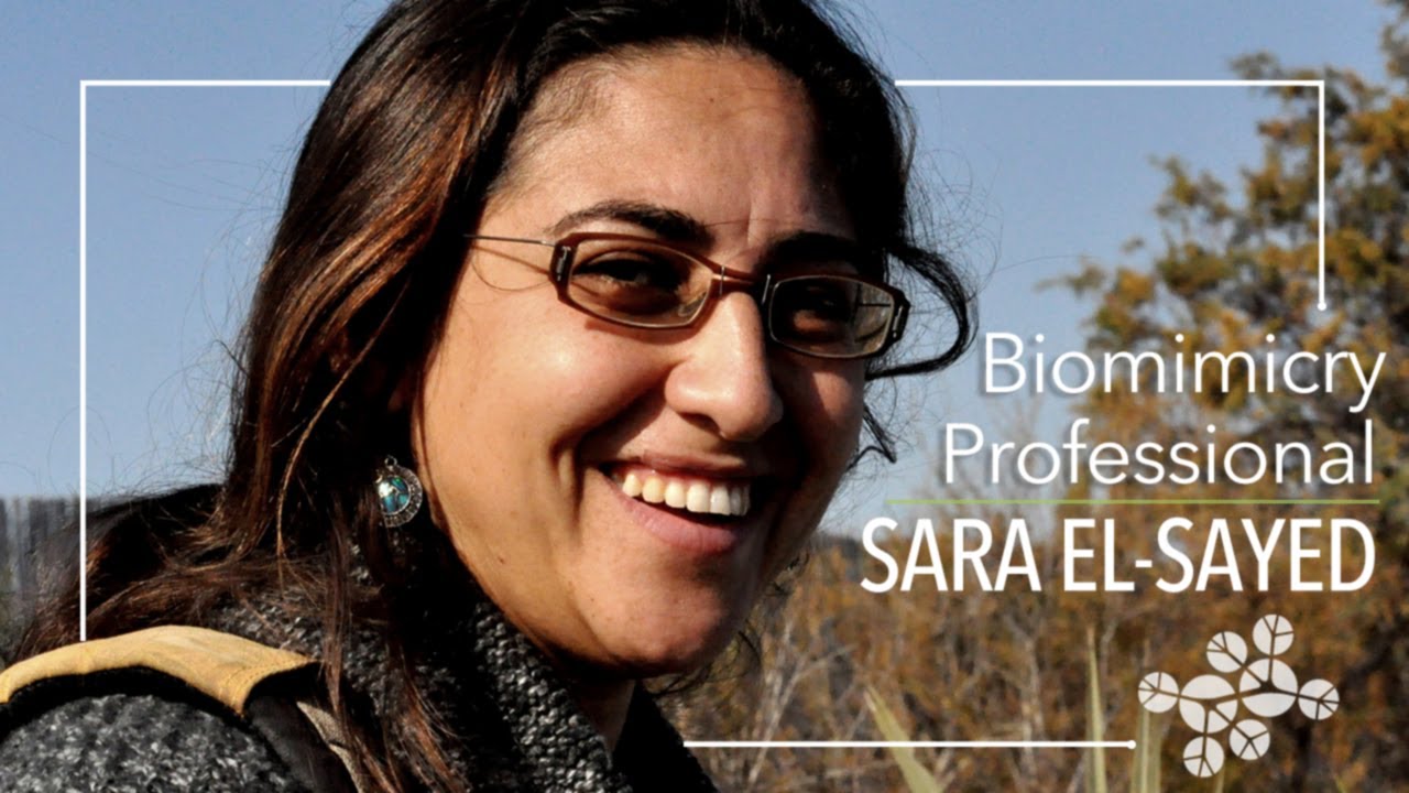 Featured Biomimicry Professional: Sara El-Sayed - YouTube