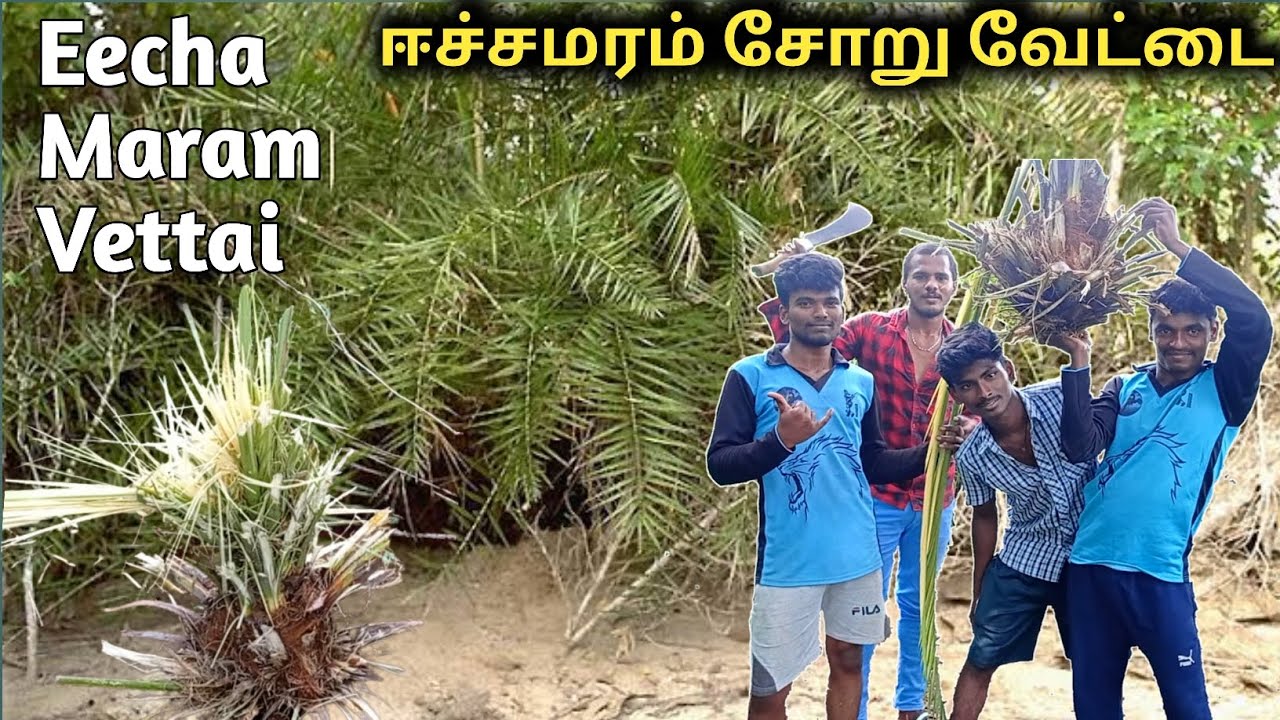 Eecha Maram Vettai | காட்டுக்குள் ஈச்சமரம் சோறு வேட்டை | Vp Puvi Vlogs ...