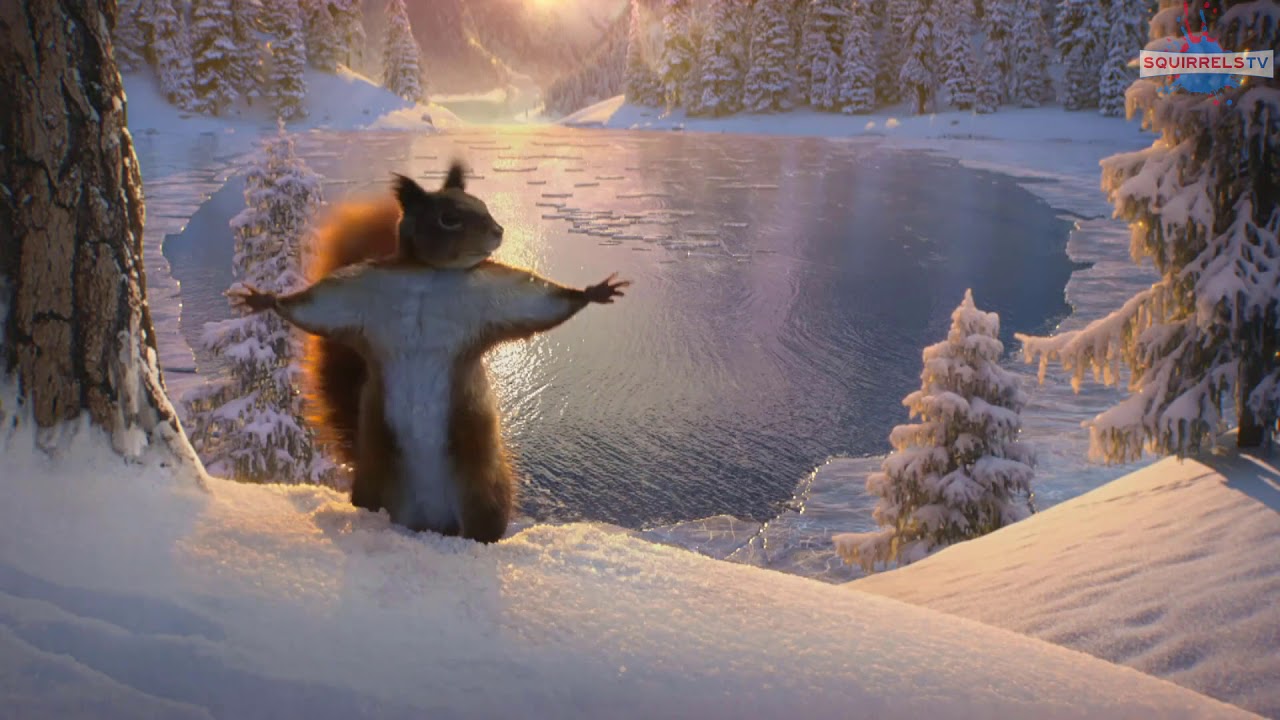 Dancing on Ice 2019 Bear and Squirrel - YouTube