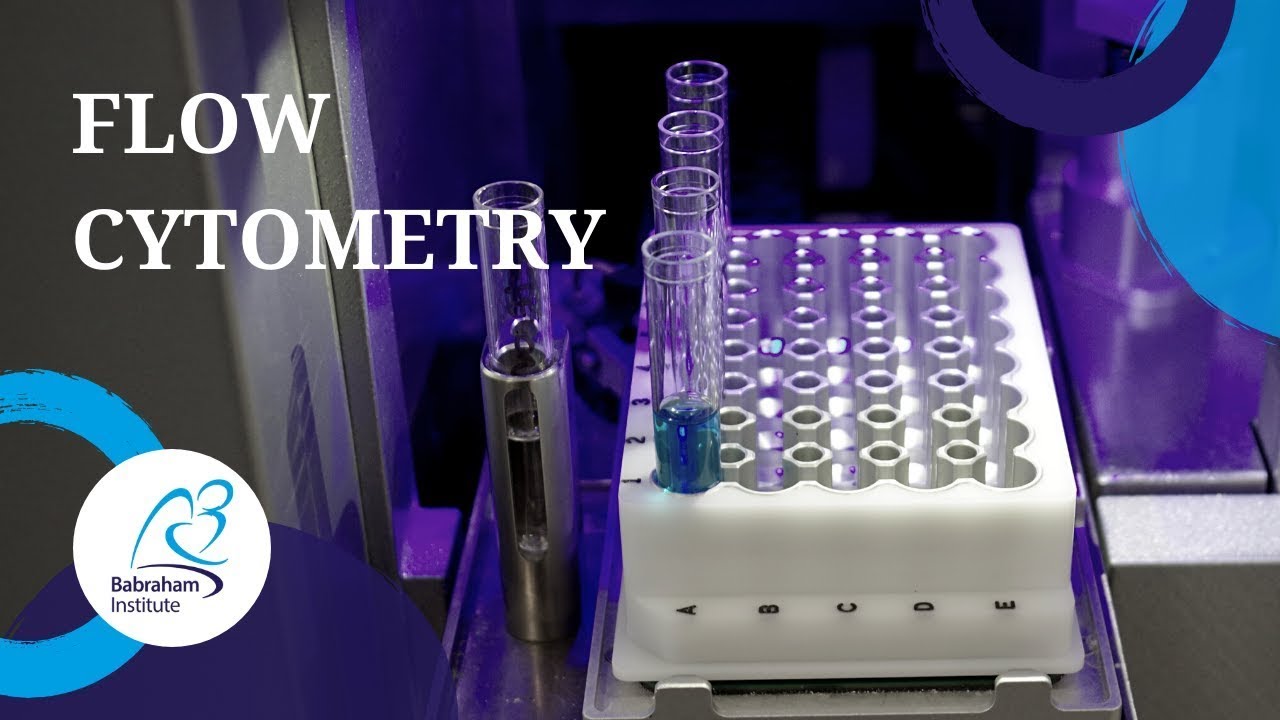 Flow Cytometry at the Babraham Institute | Explore our Science Facilities - YouTube