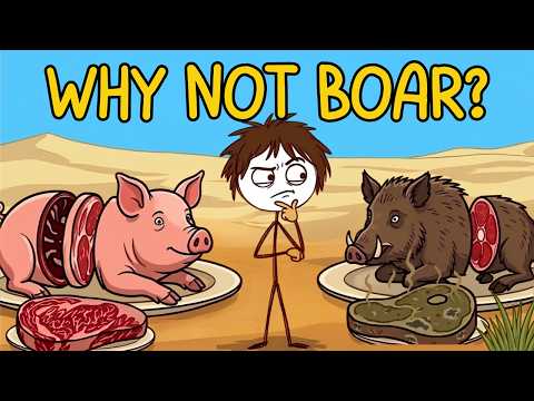 Why Don't We Eat Wild Boar Meat ?