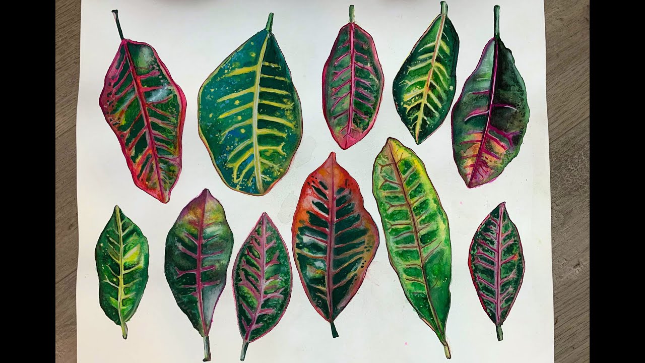 How to Paint Croton leaves / Watercolor Botanical / Watercolor and ...