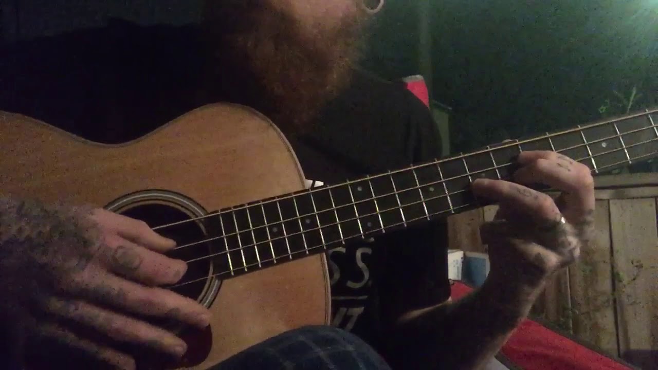 Jack moy animal bass cover - YouTube