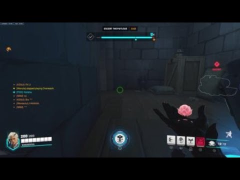 Overwatch 2 Lifeweaver potg - YouTube