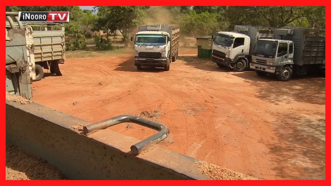 Rori 13 cia mũthanga kũnyiwo nĩ gũkĩria ũritũ barabara-inĩ ya Thika ...