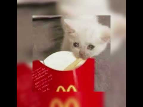 #Miles - OMG Tik tok Remix (Sped up)