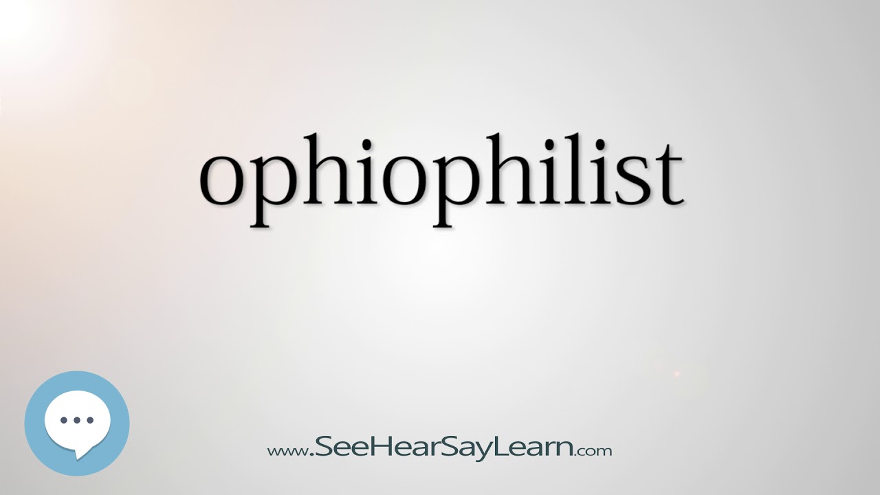 ophiophilist - Smart & Obscure English Words Defined 👁️🔊🗣🧠 - YouTube