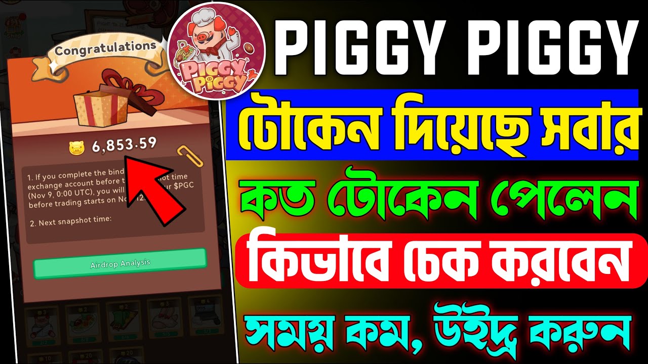 Piggy piggy সবার টোকেন দিলো চেক করুন | piggy piggy Airdrop token claim | piggy piggy token ...