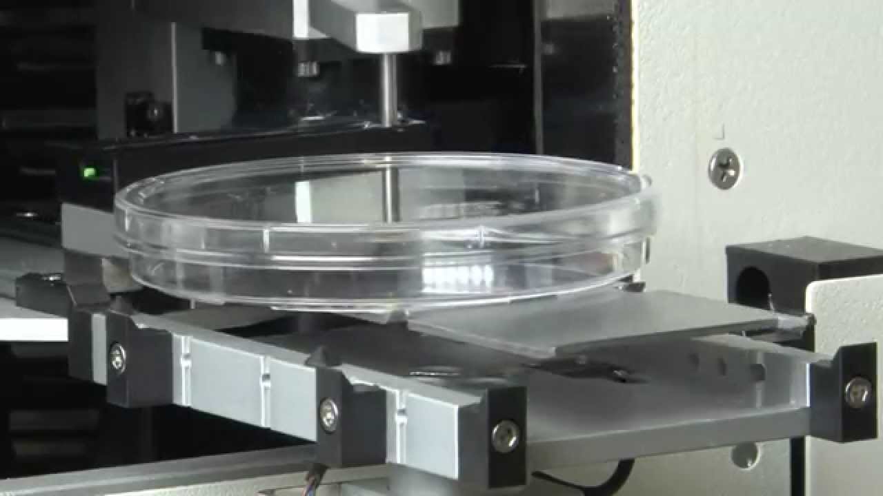 Liconic STX44 PetriDish - YouTube