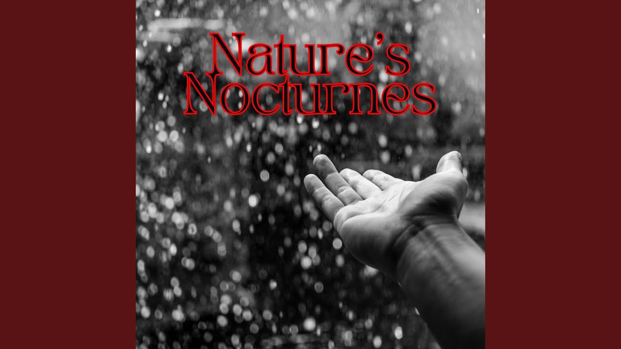 Jackson Rain Sounds: Meditation for Sleep - YouTube