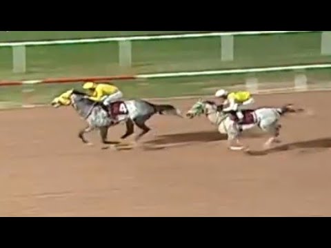 TAŞKENT - SELİM KAYA   22 Mart 2026  ADANA 