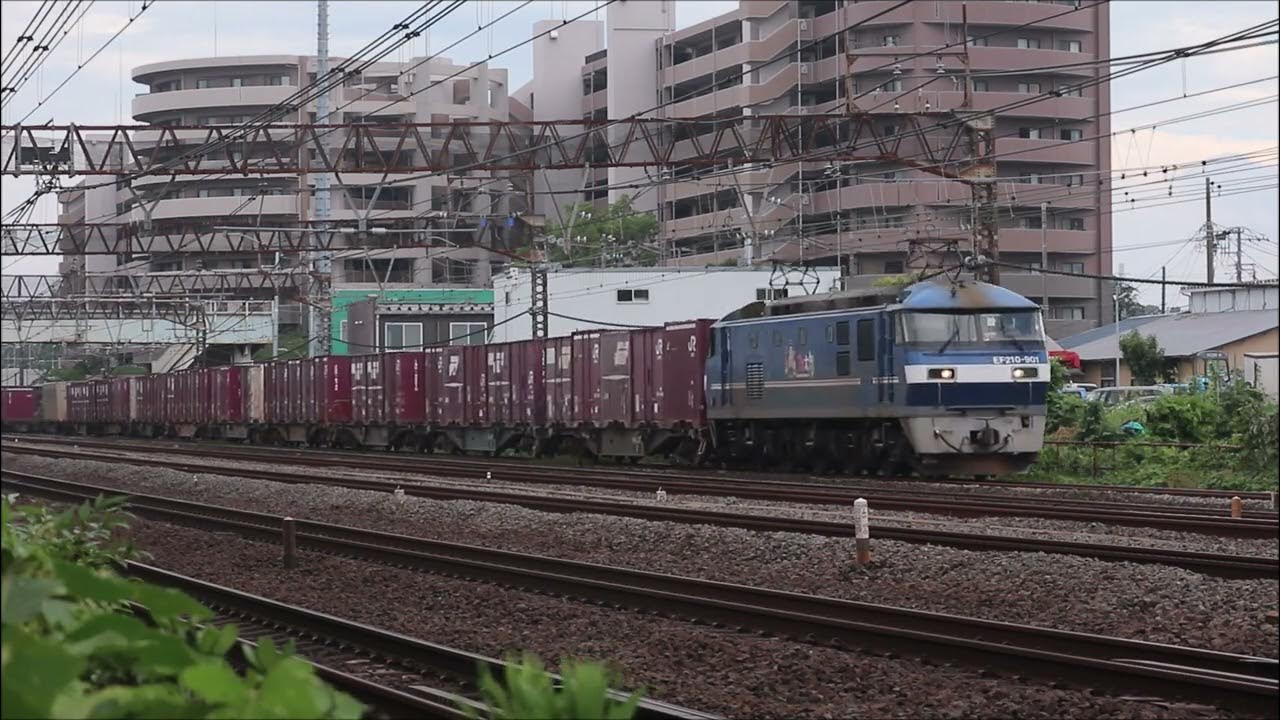 8052レ EF210-901+コキ20両 戸塚付近通過 - YouTube