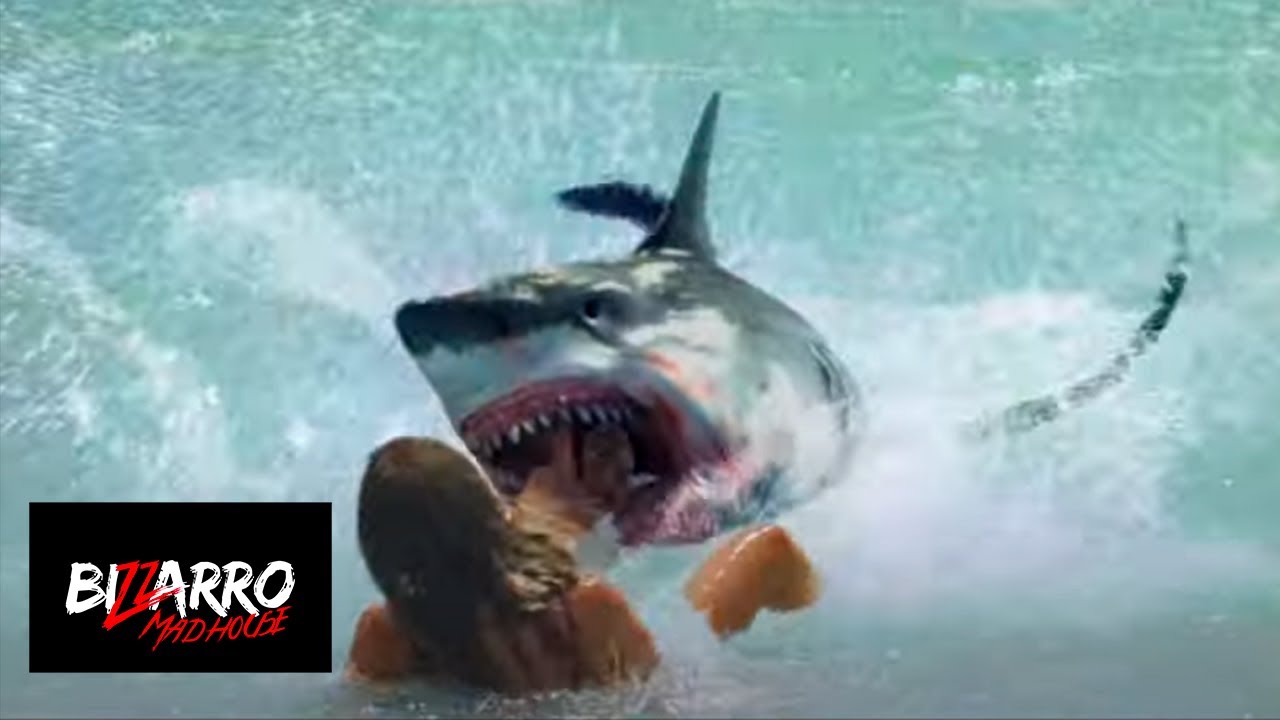Shark Week - Trailer - by Bizzarro Madhouse - YouTube