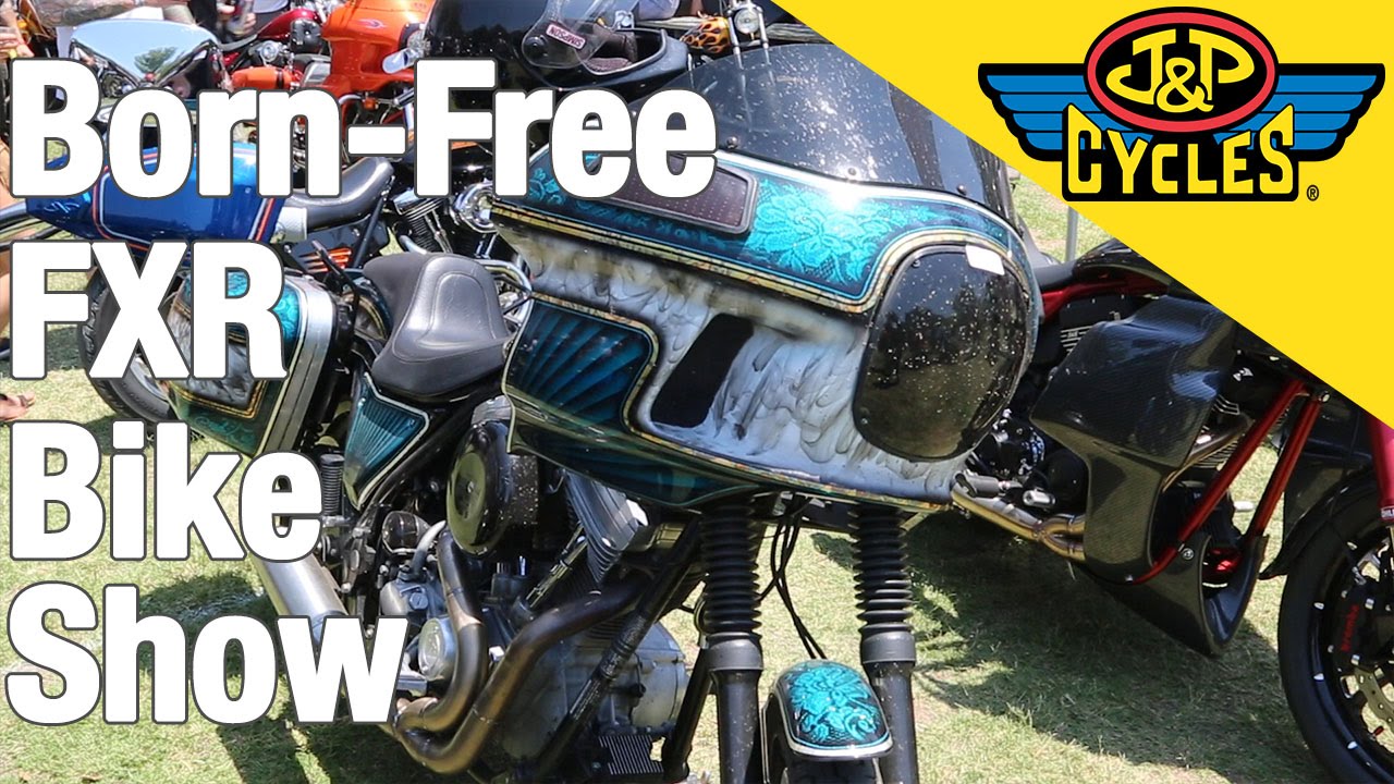 Born Free 8 FXR Show - YouTube