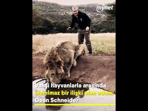 Vahşi hayvanlarla arasında inanılmaz bir ilişki olan adam: Dean Schneider