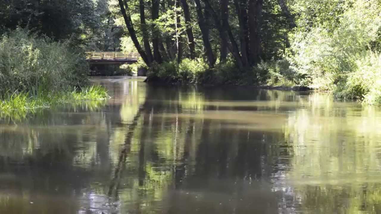 Rzeka Reda w lesie - YouTube