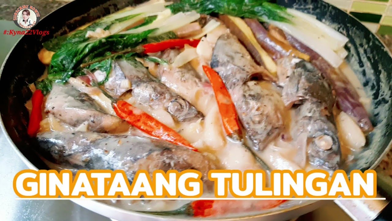 HOW TO COOK GINATAANG TULINGAN | My Version | Lutong Pinoy | Kyna's ...