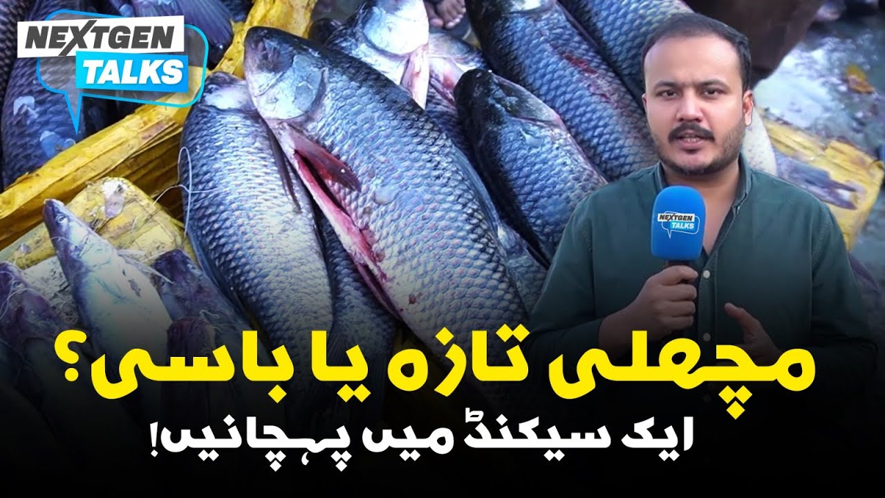 Fish Market Truths: Common Scams & How to Spot Fresh, Quality Fish ...