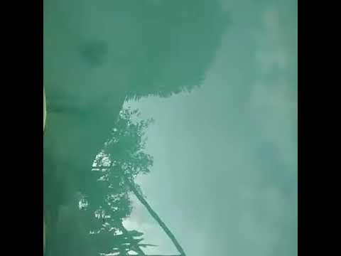 algo flashero - YouTube