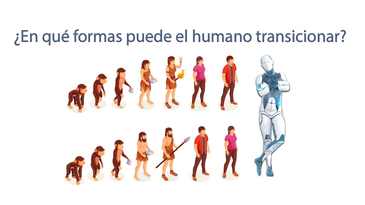 ¿En qué formas puede el humano transicionar? - YouTube