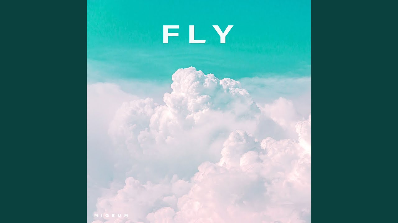 FLY - YouTube