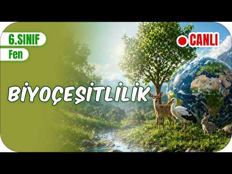 Biyoçeşitlilik  📗 6FEN19 #2026